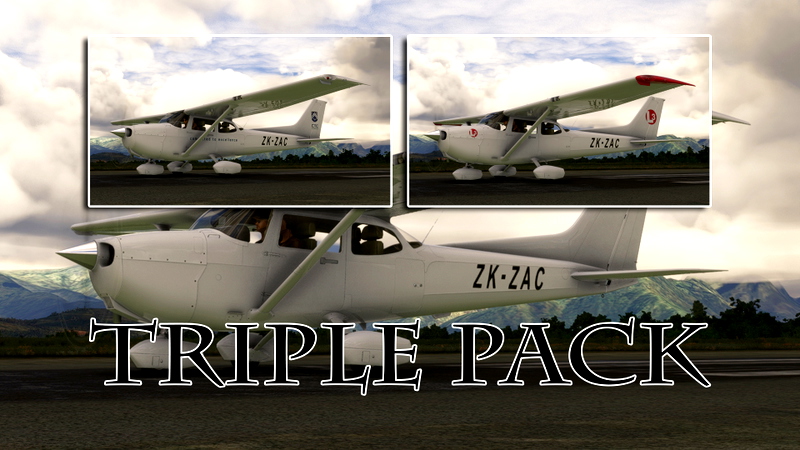 Cessna 172 Liveries para Microsoft Flight Simulator | MSFS | Flightsim.to