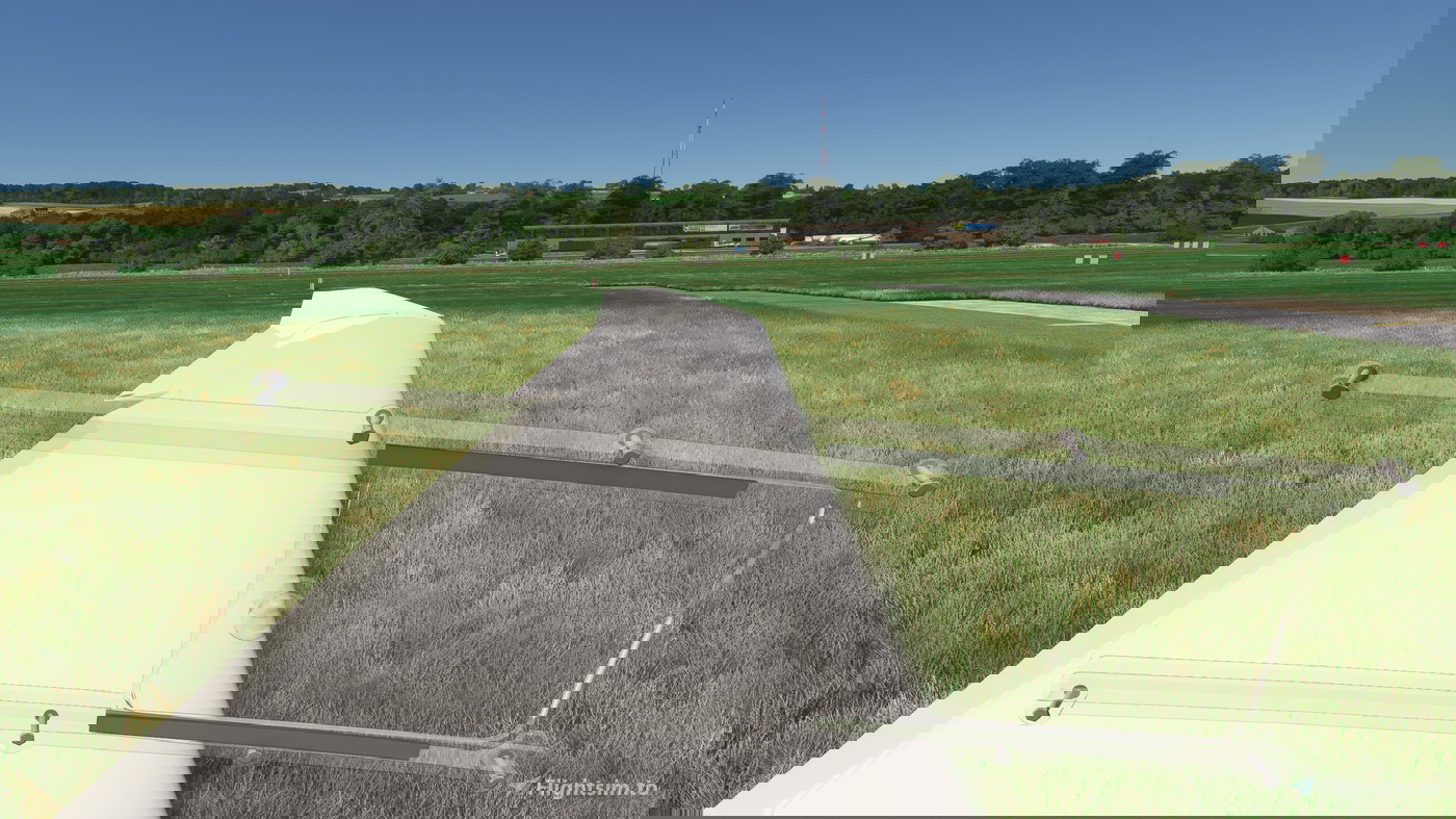 Asobo Diamond DV-20 Katana - Better Cameras for Microsoft Flight Simulator | MSFS