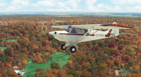 Asobo Husky A1C / CC-ANP for Microsoft Flight Simulator | MSFS