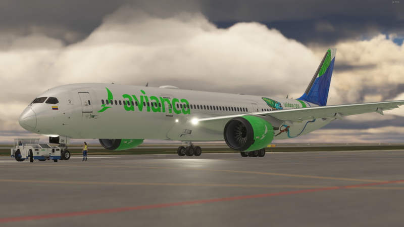 avianca-UNIDOS POR LA BIODIVERSIDAD//N799AV for Microsoft Flight ...