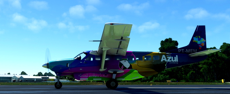 Cessna 208 B Liveries for Microsoft Flight Simulator | MSFS | Flightsim.to