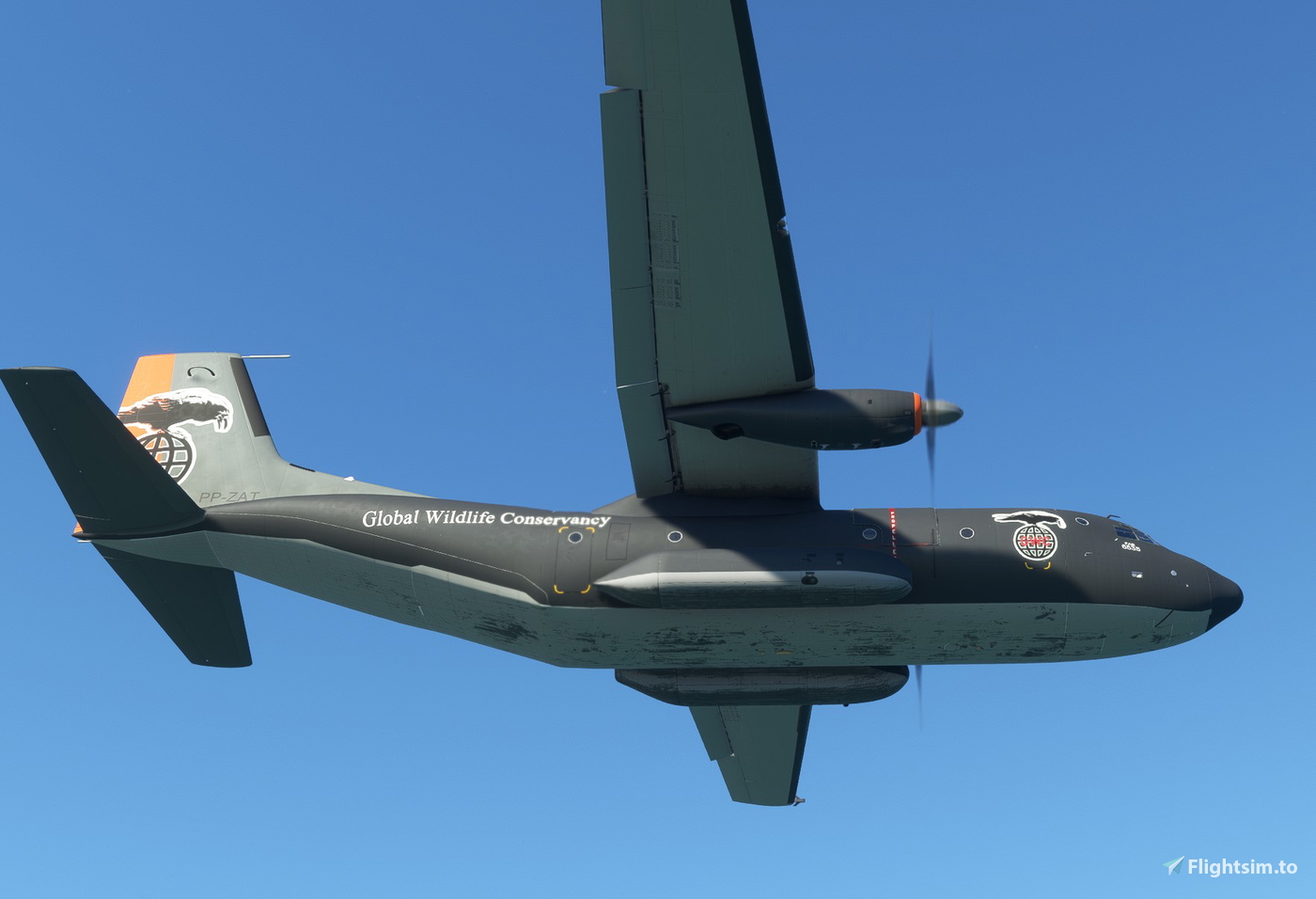 Azurpoly C-160 from the movie „Expendables“ (Global Wildlife ...