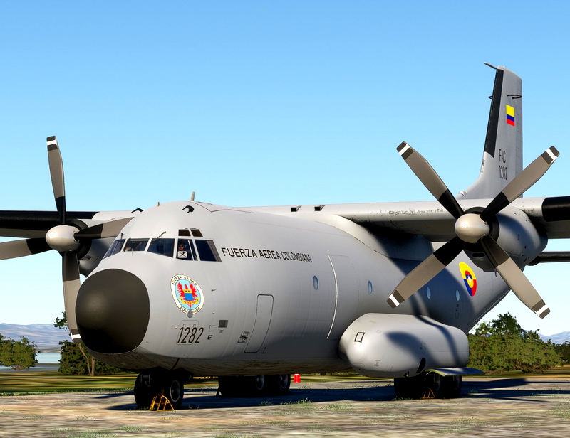 Transall C-160 Liveries for Microsoft Flight Simulator | MSFS