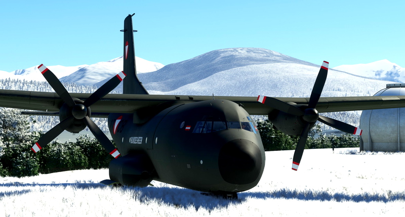 Transall C-160 Liveries for Microsoft Flight Simulator | MSFS