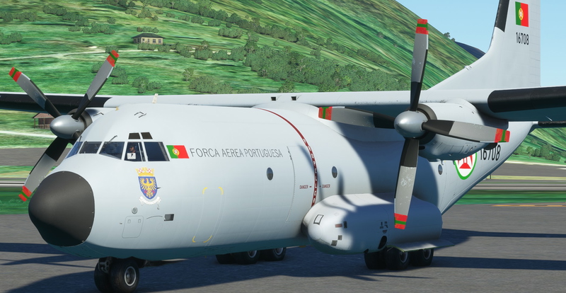 Transall C-160 Liveries for Microsoft Flight Simulator | MSFS