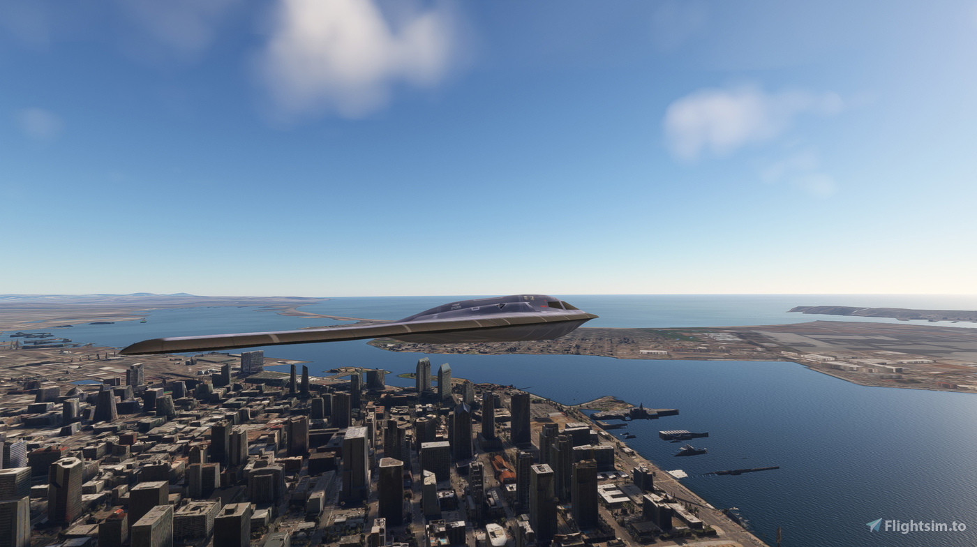 B-2B for Microsoft Flight Simulator | MSFS