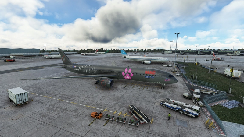 Boeing 787 Liveries for Microsoft Flight Simulator | MSFS