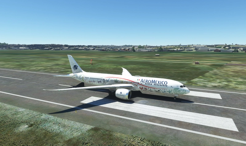 Horizon Simulations Boeing 787-9 Liveries for Microsoft Flight ...