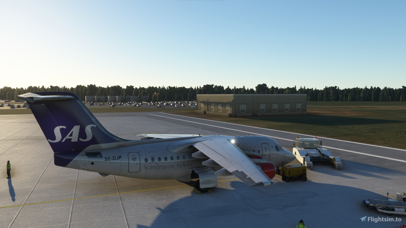 BAe146-100 Transwede opf SAS für Microsoft Flight Simulator | MSFS