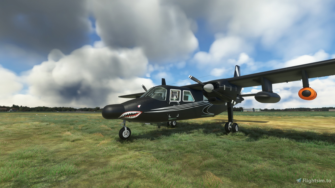 BBS BN2 Maritime Defender G-WPNS repaint request for Microsoft Flight ...