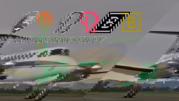 Black Square King Air 350i "FLIGHT PRECISION" 2-FPLF for Microsoft ...