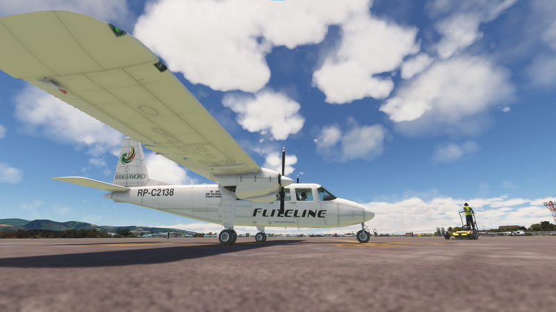 BN2 Islander Liveries for Microsoft Flight Simulator | MSFS