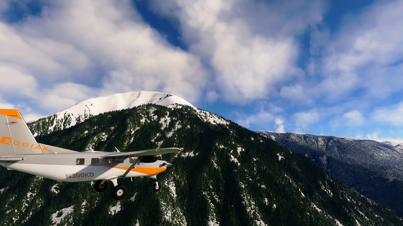 Blacksheeps NVIDIA GeForce Filter (Vivid) for Microsoft Flight ...