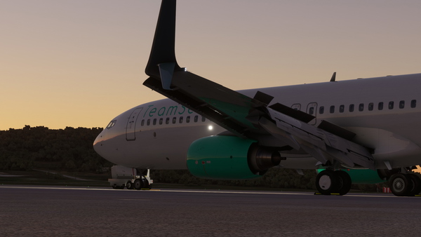 PMDG B737-800 BDSF | Soarin Air for Microsoft Flight Simulator | MSFS