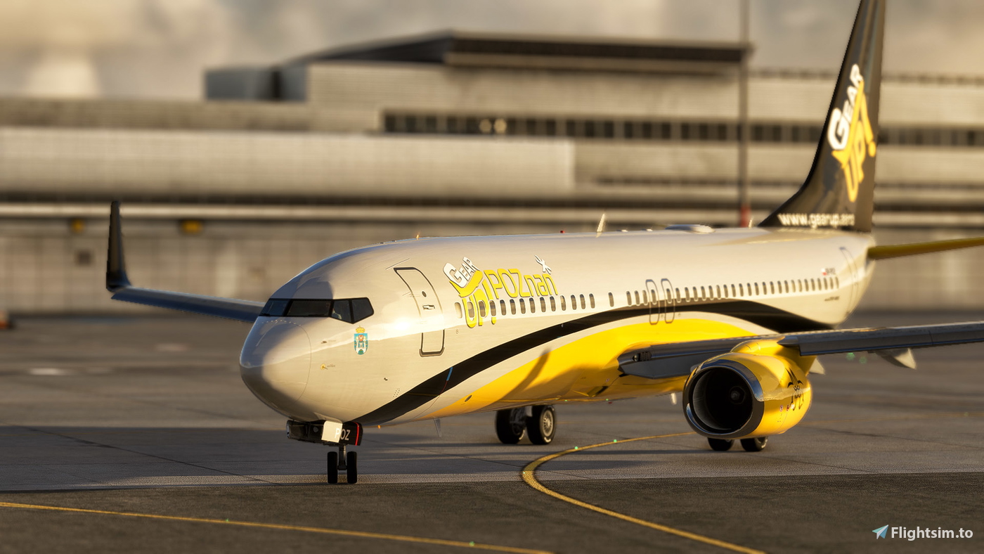 BOEING 737-800 GearUp - Livery のために Microsoft Flight Simulator | MSFS