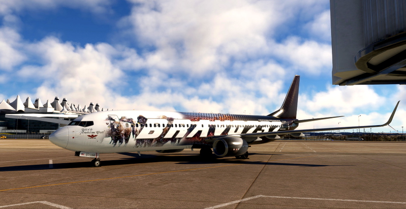 PMDG Boeing 737-900 Liveries for Microsoft Flight Simulator | MSFS ...
