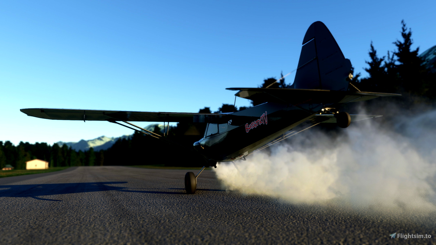 Cub Crafter X-Cub Liveries til Microsoft Flight Simulator | MSFS ...