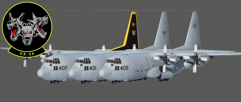 C-130 Captain Exterior Liveries for Microsoft Flight Simulator | MSFS