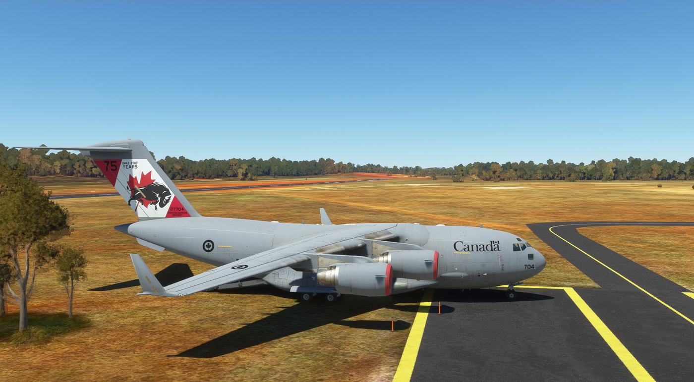 C-17 [Destroyer121] RCAF 177704 "75 Years" のために Microsoft Flight ...