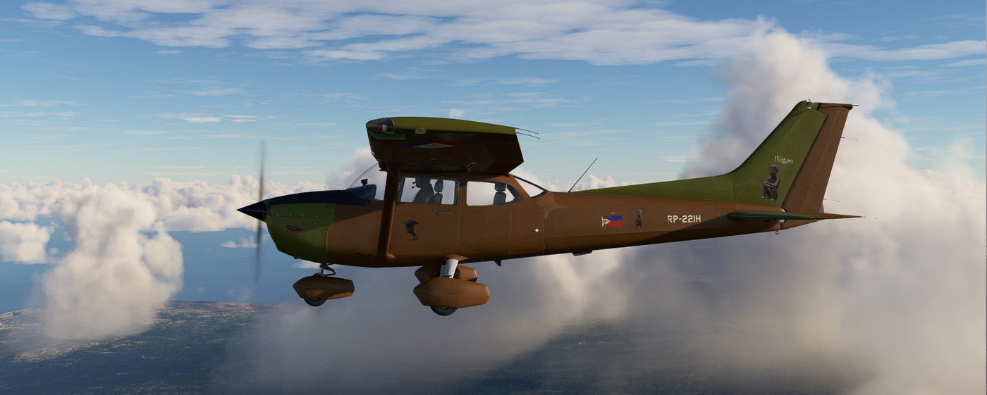 C 172 SP " Ifugao" RP-221H brown-green (wheels & float version) for ...