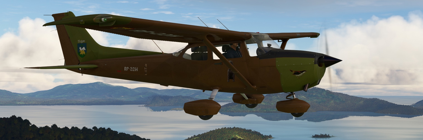 C 172 SP " Ifugao" RP-221H brown-green (wheels & float version) for ...
