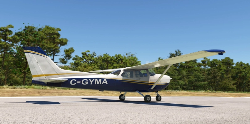 Cessna 172 Liveries for Microsoft Flight Simulator | MSFS