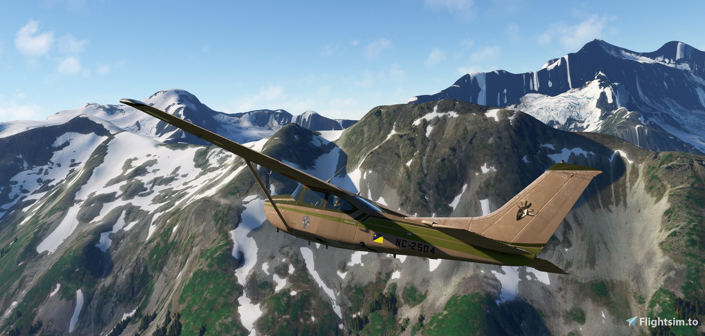 C182RG Skylane II bwn-grn Koyukok NC-2504 for Microsoft Flight ...