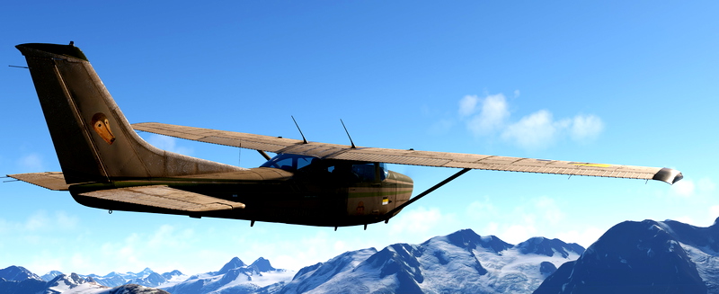 C182RG Skylane II bwn-grn Koyukok NC-2504 for Microsoft Flight Simulator | MSFS