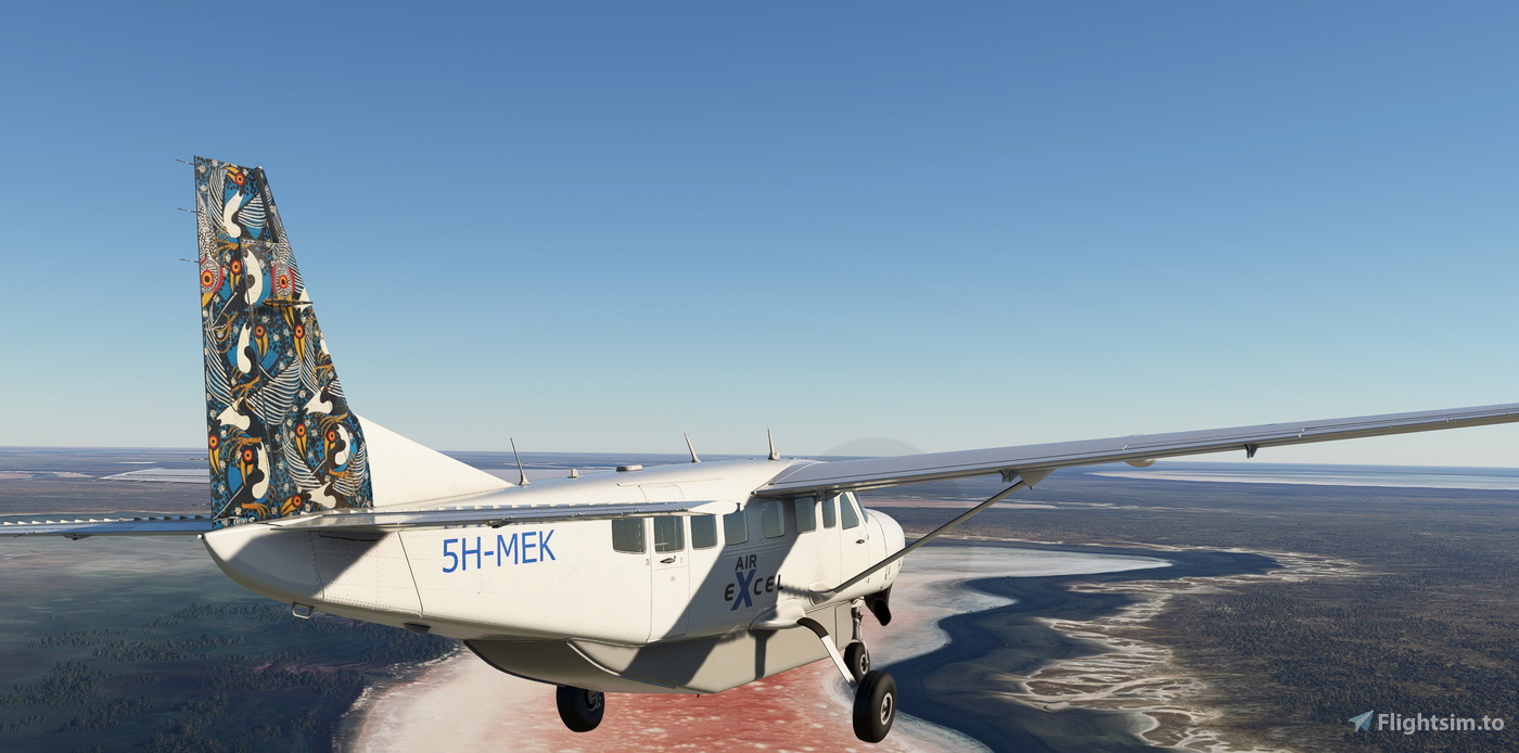 C208 Air Excel Asobo/ Black Square livery for Microsoft Flight ...