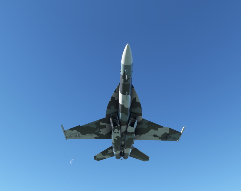Camo Livery for Asobo & SW F-18E for Microsoft Flight Simulator | MSFS