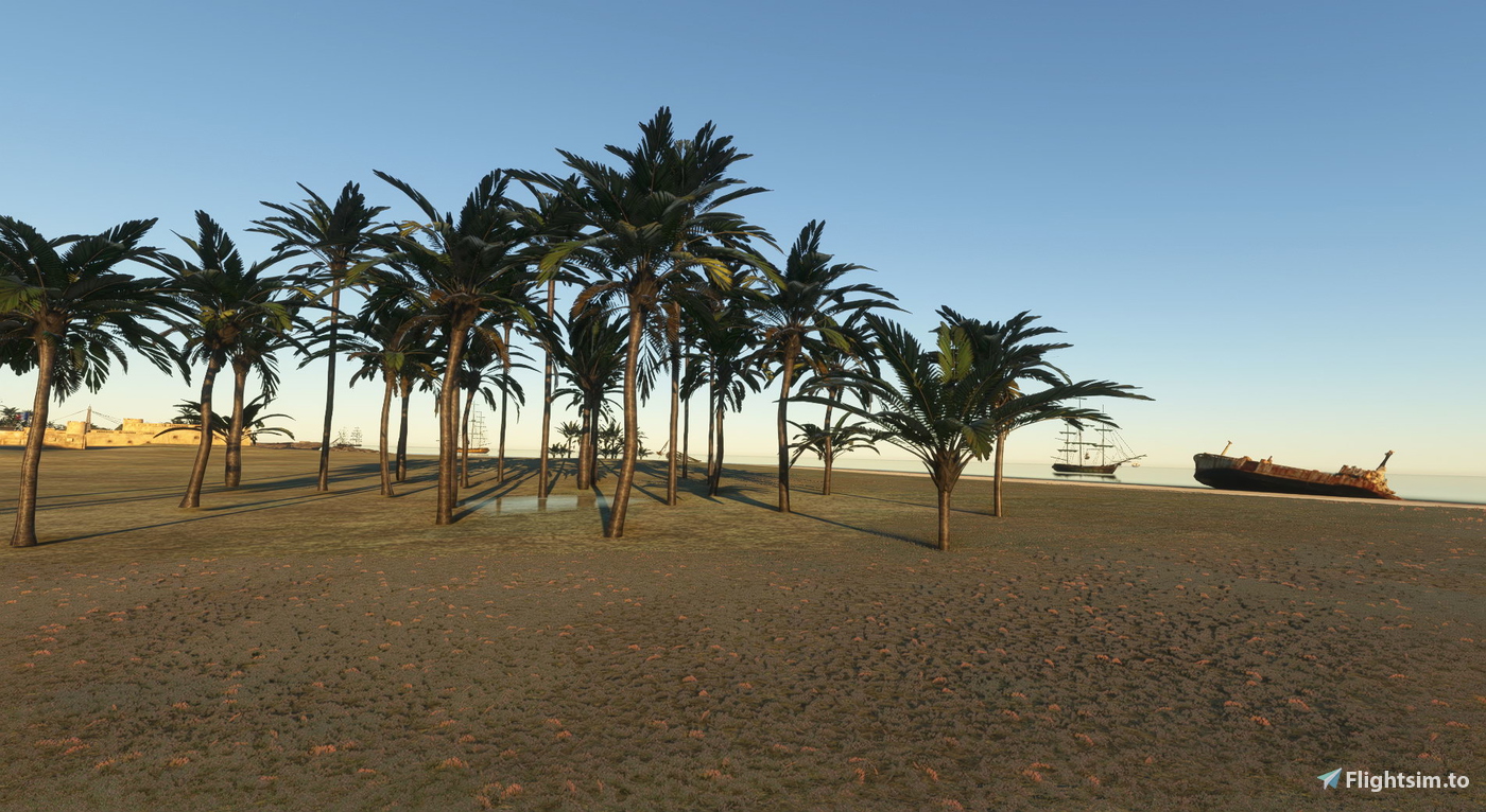 Cap Juby Sailships & Wrecks for Microsoft Flight Simulator | MSFS