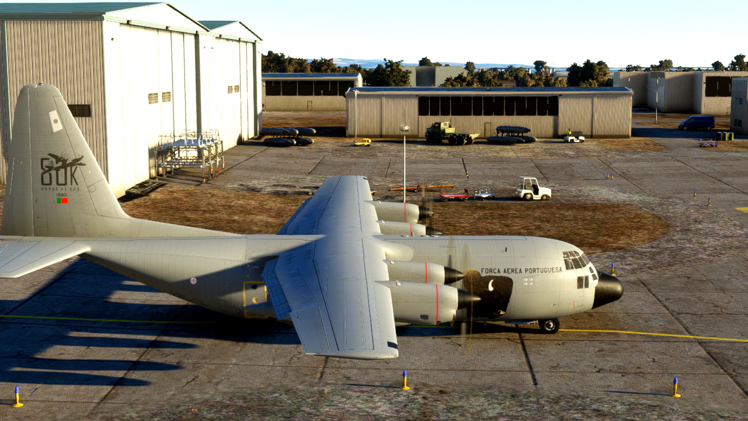 C-130 Captain Exterior Liveries for Microsoft Flight Simulator | MSFS ...