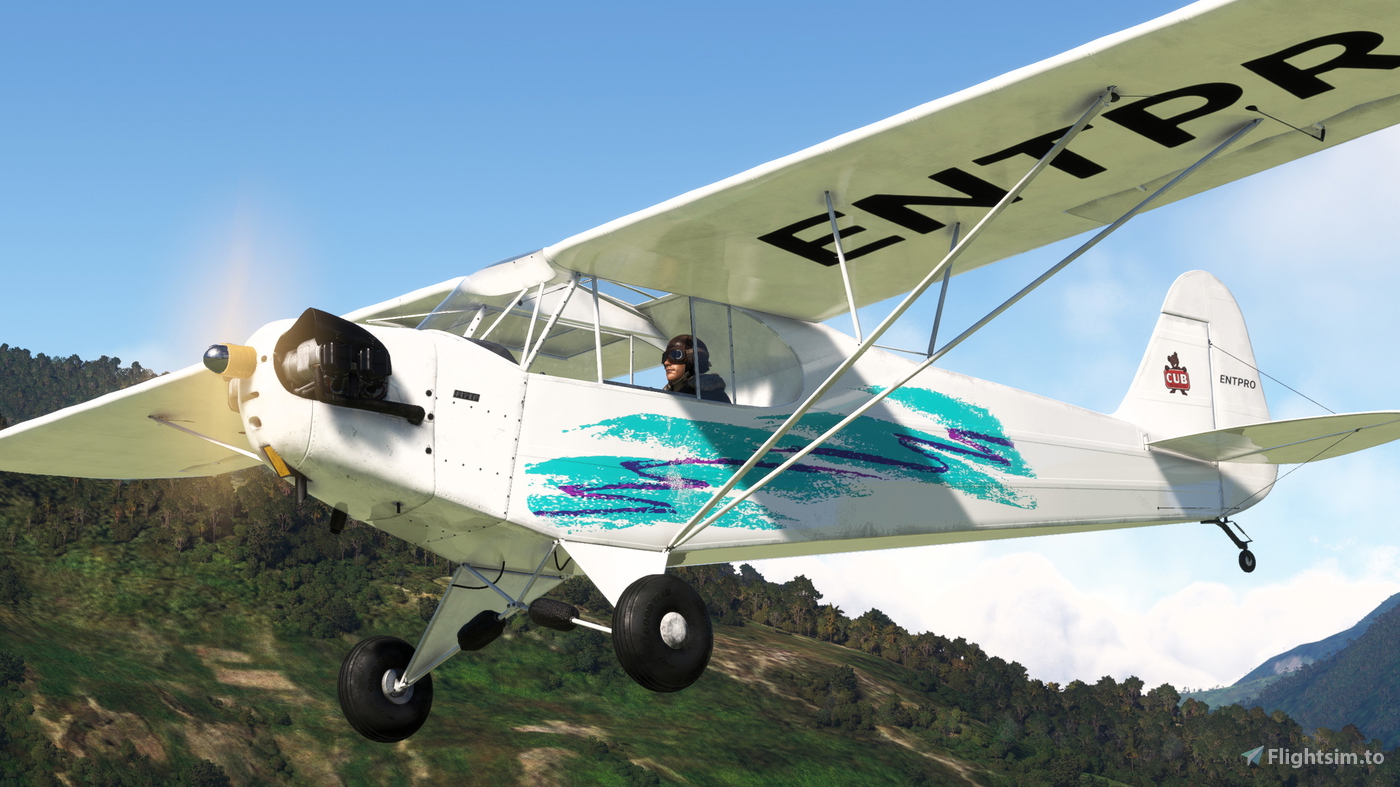 CAS J3 Jazz Cub for Microsoft Flight Simulator | MSFS