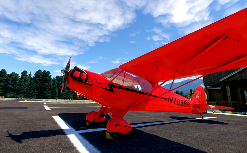Other Liveries Liveries for Microsoft Flight Simulator | MSFS