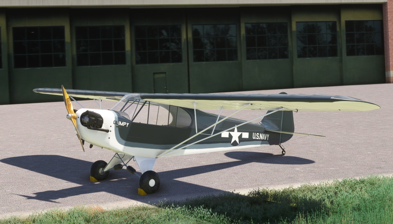 CAS Piper NE-1 Cub "Glimpy" for Microsoft Flight Simulator | MSFS