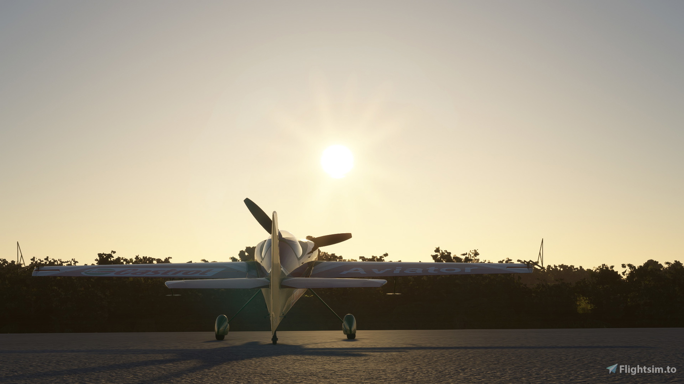 Castrol Aviator Livery for the Eagle S-100 for Microsoft Flight ...
