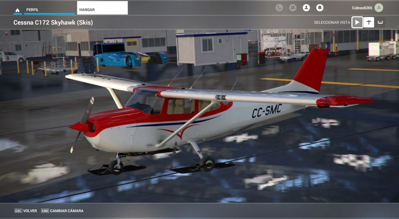 Cessna 172 Liveries for Microsoft Flight Simulator | MSFS