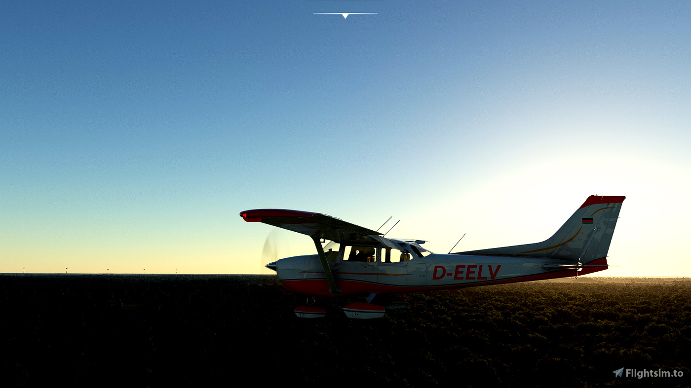 Cessna 172 D-EELV (Bagolu, Classic, JT-A) pour Microsoft Flight Simulator | MSFS