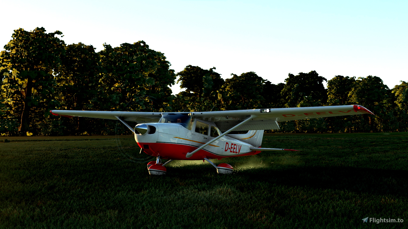 Cessna 172 D-EELV (Bagolu, Classic, JT-A) pour Microsoft Flight Simulator | MSFS