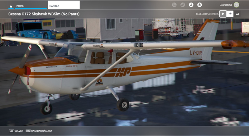 Cessna 172 Liveries for Microsoft Flight Simulator | MSFS