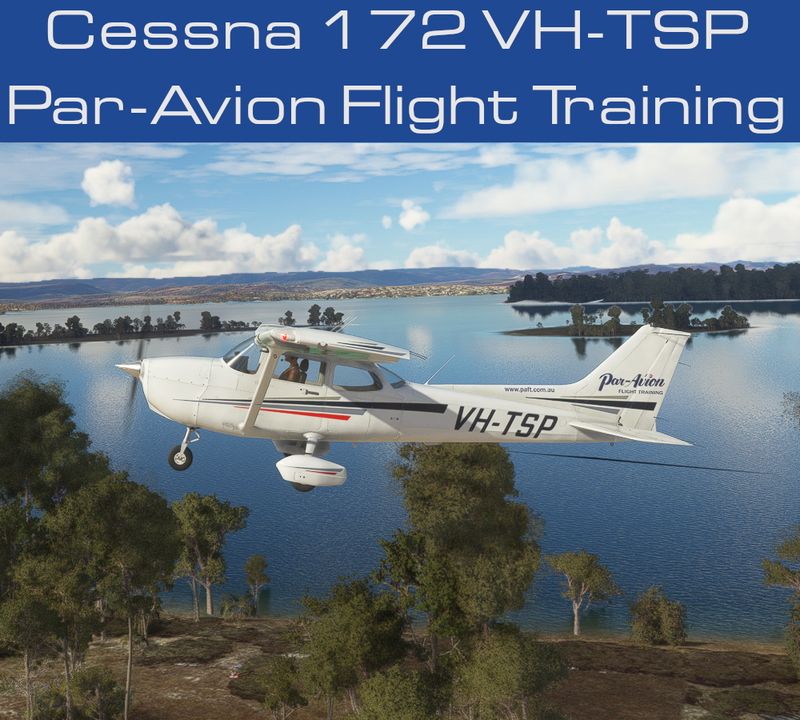 Cessna 172 Liveries for Microsoft Flight Simulator | MSFS