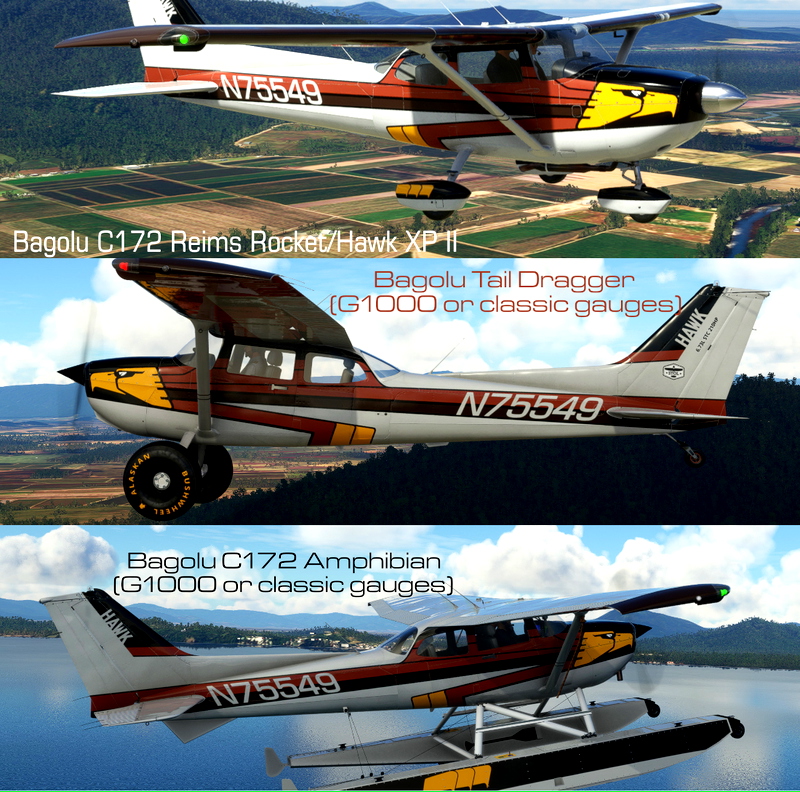 Cessna 172 Skyhawk N75549 for Microsoft Flight Simulator | MSFS