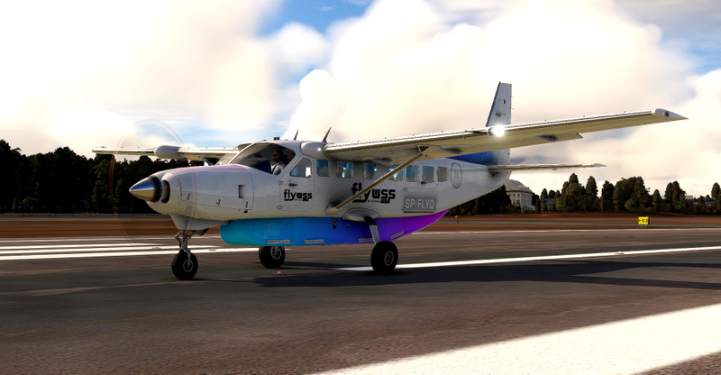 Cessna 208 B Liveries for Microsoft Flight Simulator | MSFS | Flightsim.to