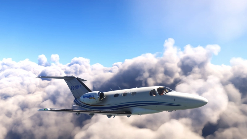 Cockspur C510 Mustang Liveries for Microsoft Flight Simulator | MSFS