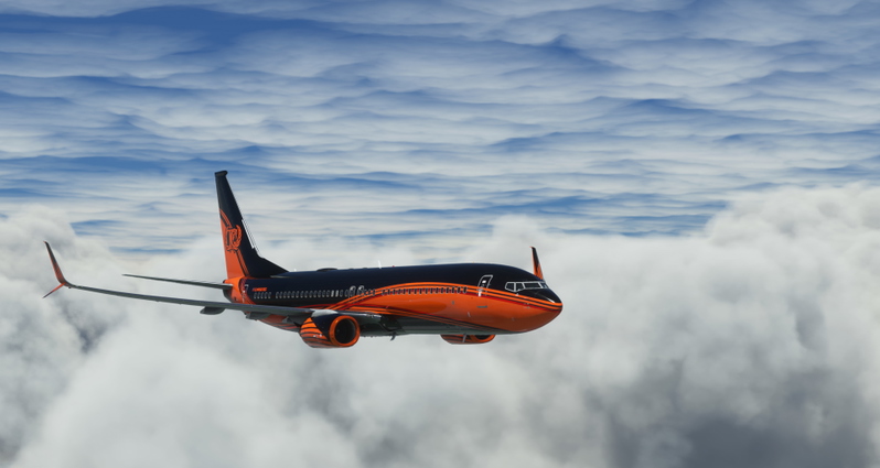PMDG Boeing 737-800 Liveries 对于 Microsoft Flight Simulator | MSFS