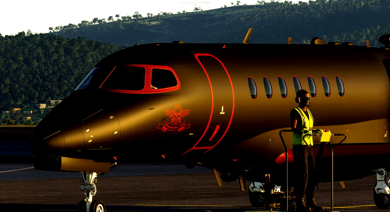 Citation Longitude Liveries for Microsoft Flight Simulator | MSFS
