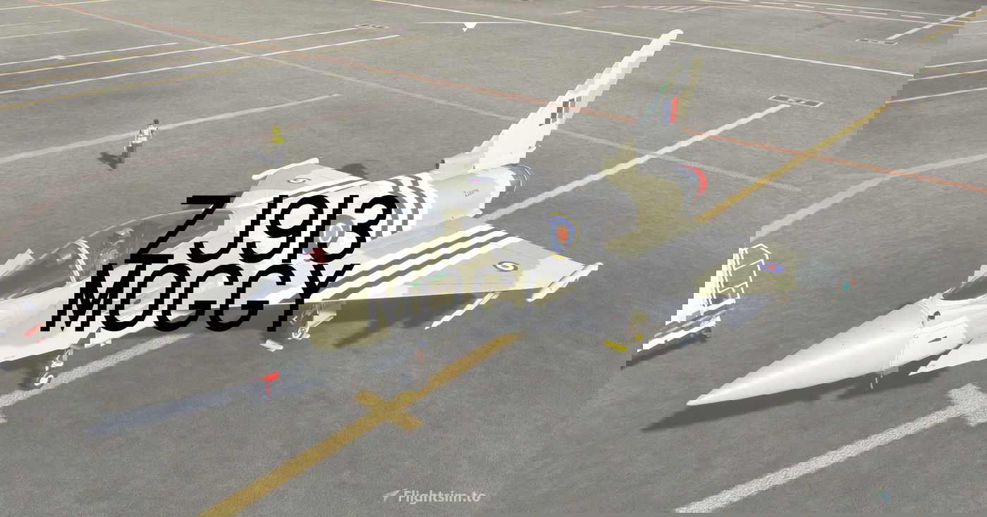 CJ Simulations Typhoon FGR.4|29 Sqn 2024 Typhoon Display Team 'Moggy ...