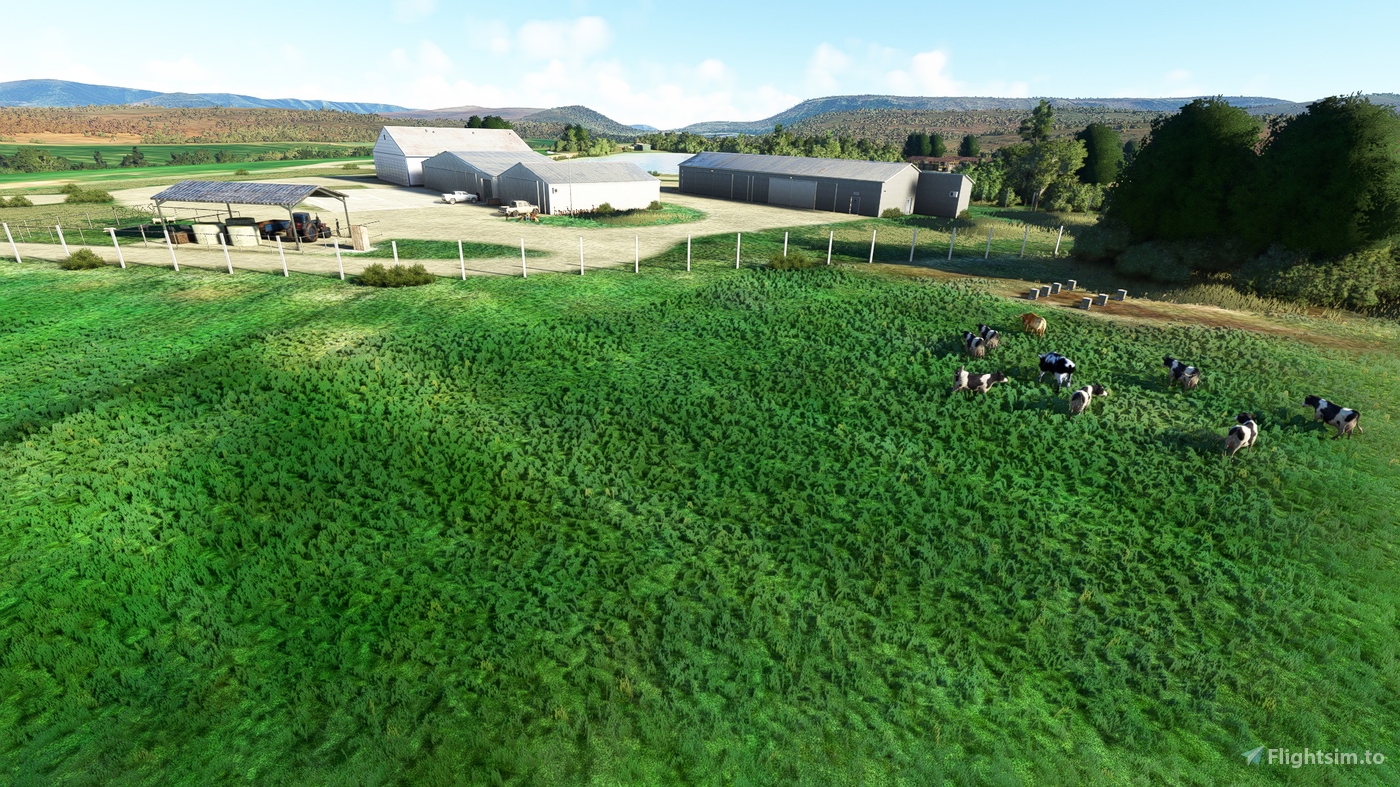 Cookhouse Farm Strip (FACH) for Microsoft Flight Simulator | MSFS