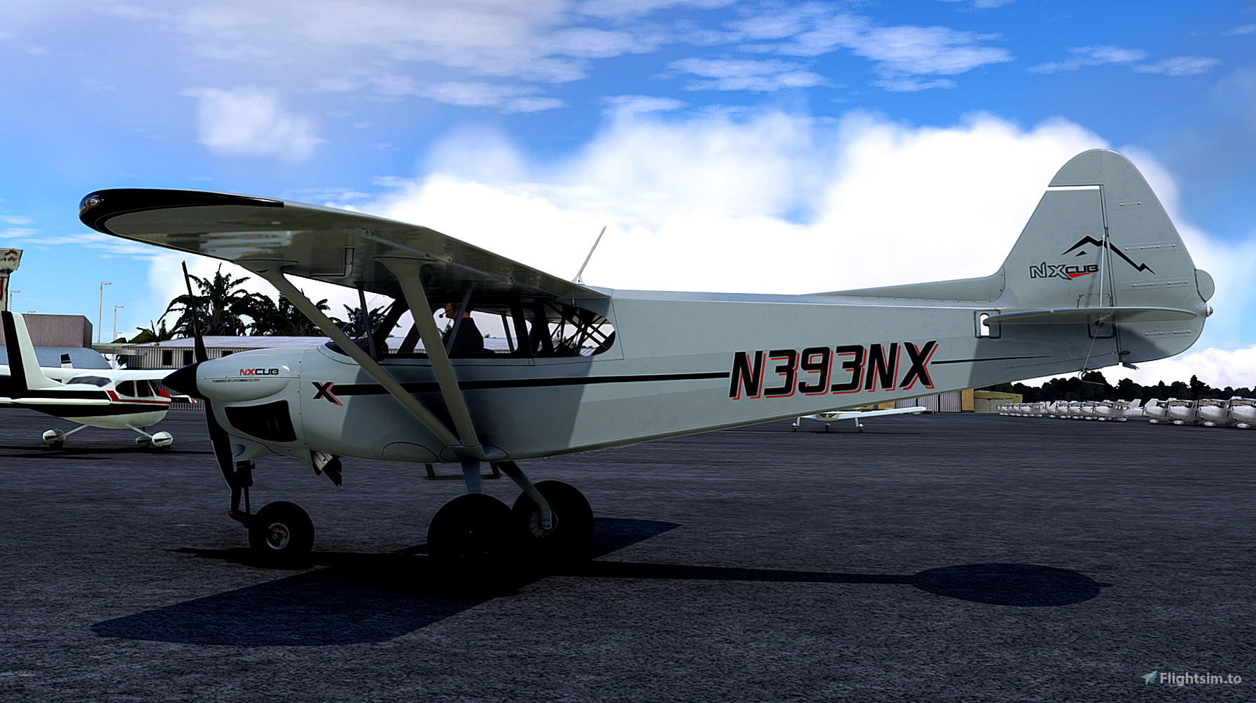 CubCrafters NX Cub Liveries pour Microsoft Flight Simulator | MSFS ...