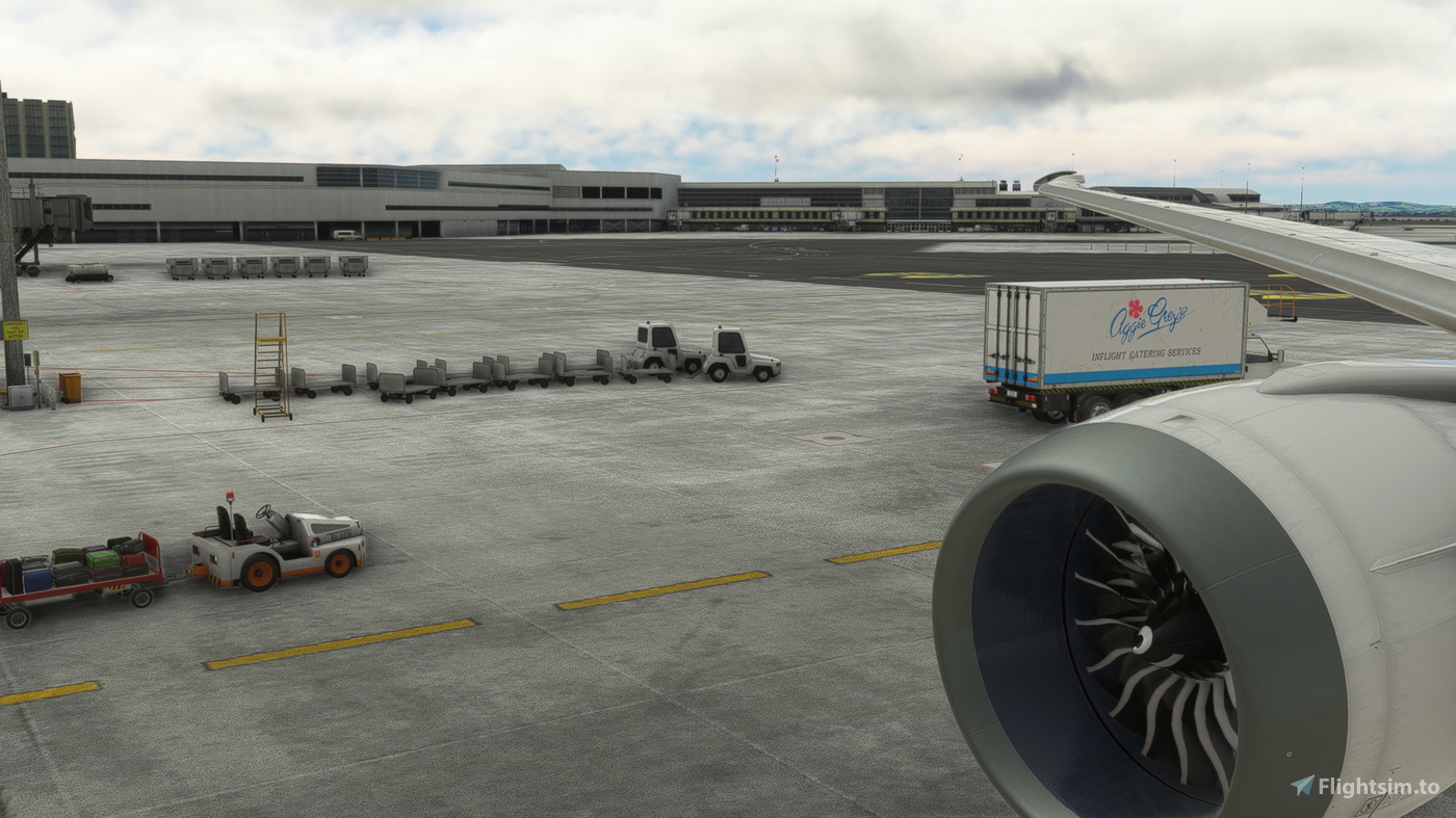 Custom Camera Views [Horizon Sim Boeing 787-9] for Microsoft Flight ...